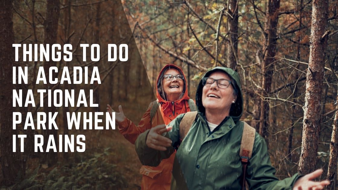10 Things to Do in Acadia National Park When It Rains
